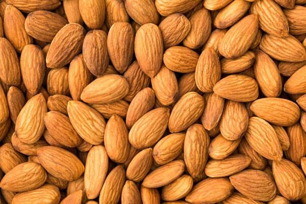 Growing Nuts in the PNW | Cloud Mountain Farm Center & Nursery