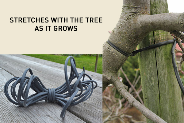Stretch Tie | Cloud Mountain Farm Center & Nursery